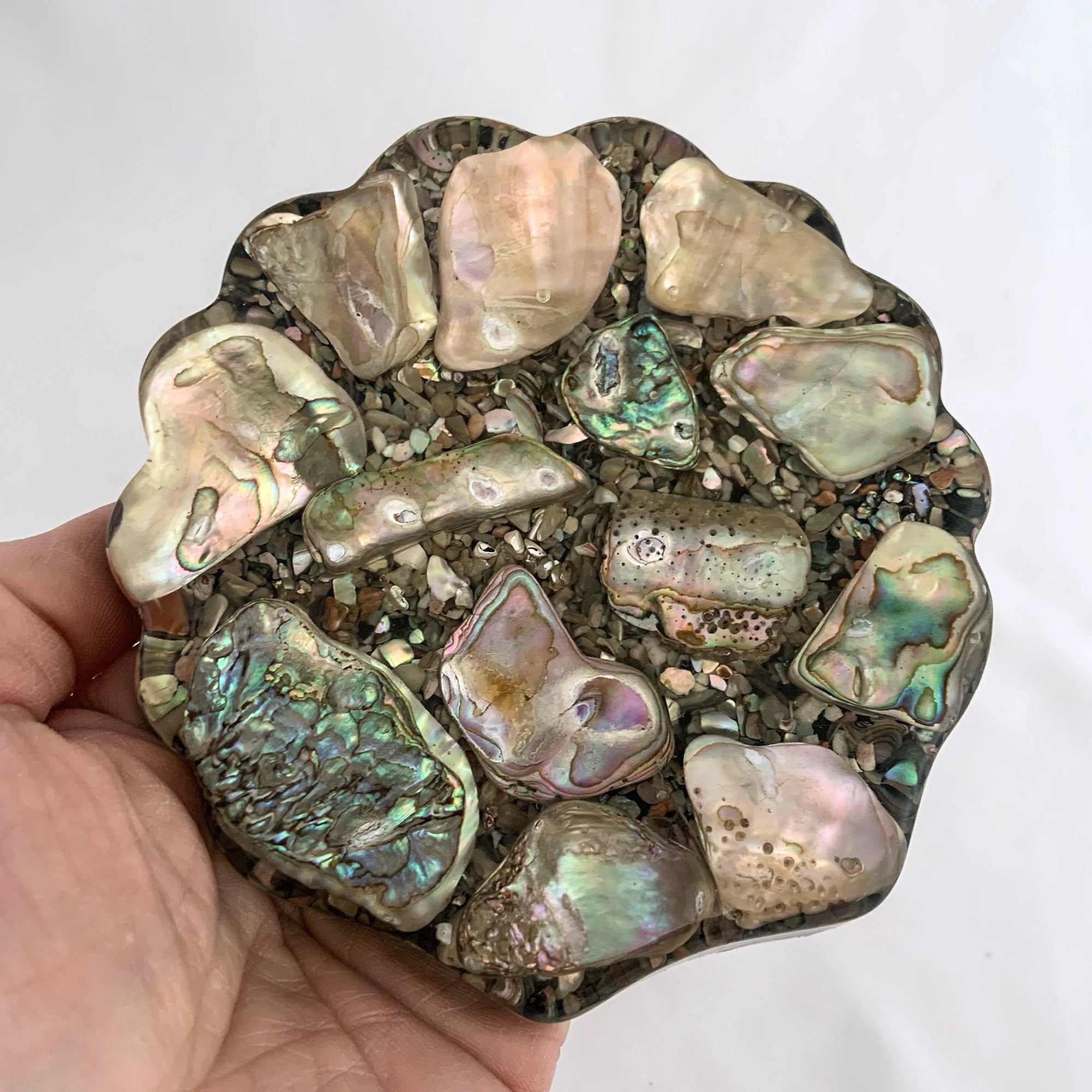 abalone shell soap dish